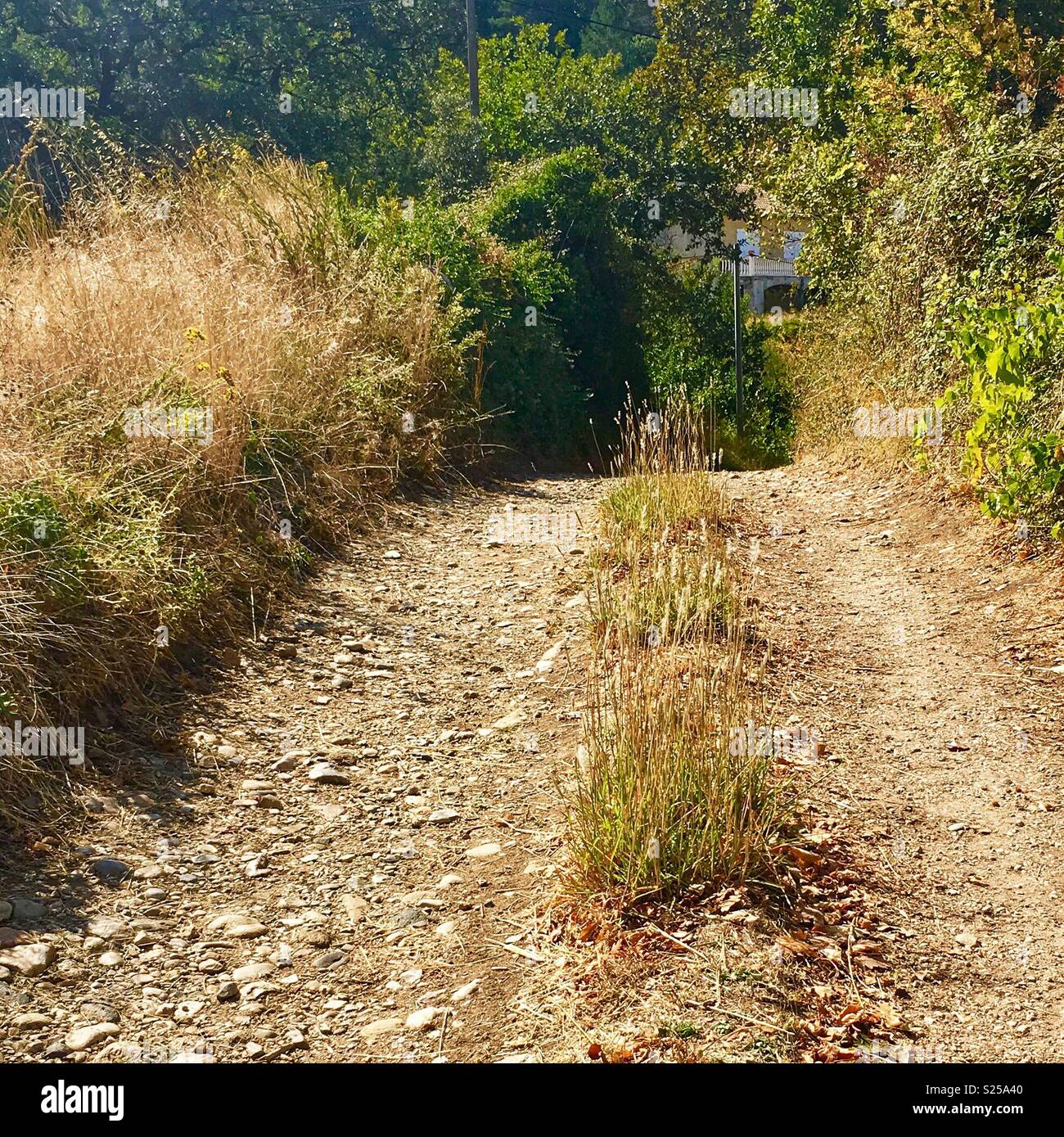 Rambling pathway hi-res stock photography and images - Alamy