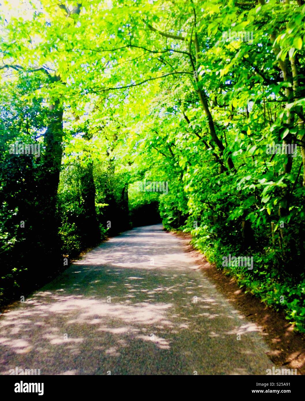 Chartham hi-res stock photography and images - Alamy