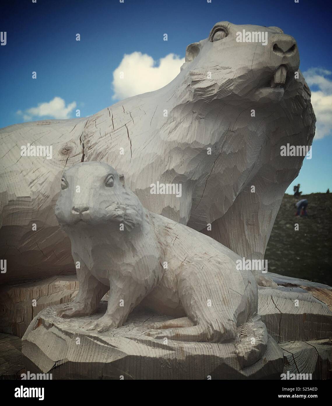 An amazing wood carving of beavers Stock Photo - Alamy