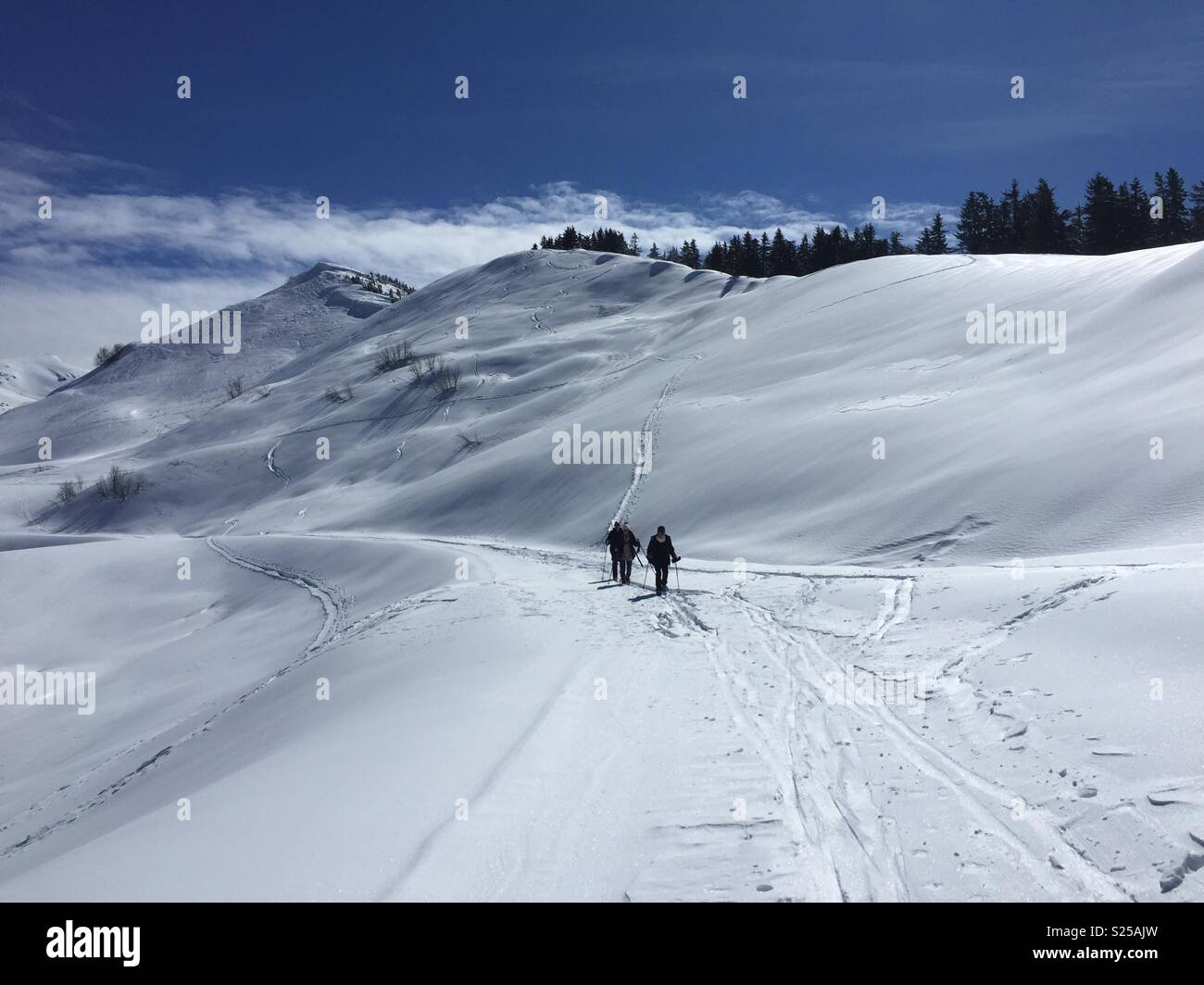 Silhouette in snow hi-res stock photography and images - Alamy
