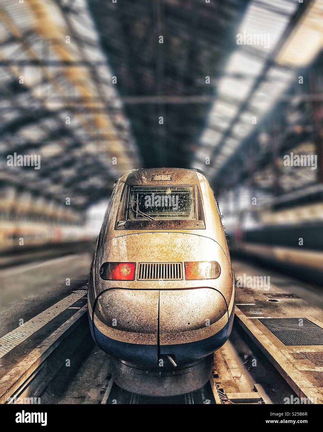 French TGV high speed train at Gare de Lyon, Paris Stock Photo - Alamy