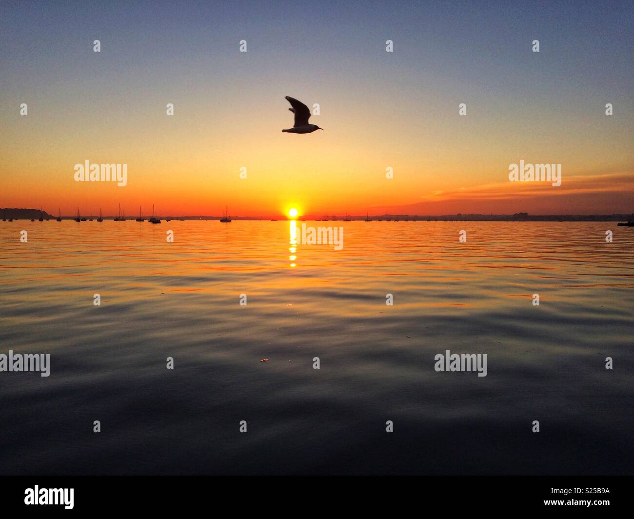 Poole bay hi-res stock photography and images - Alamy