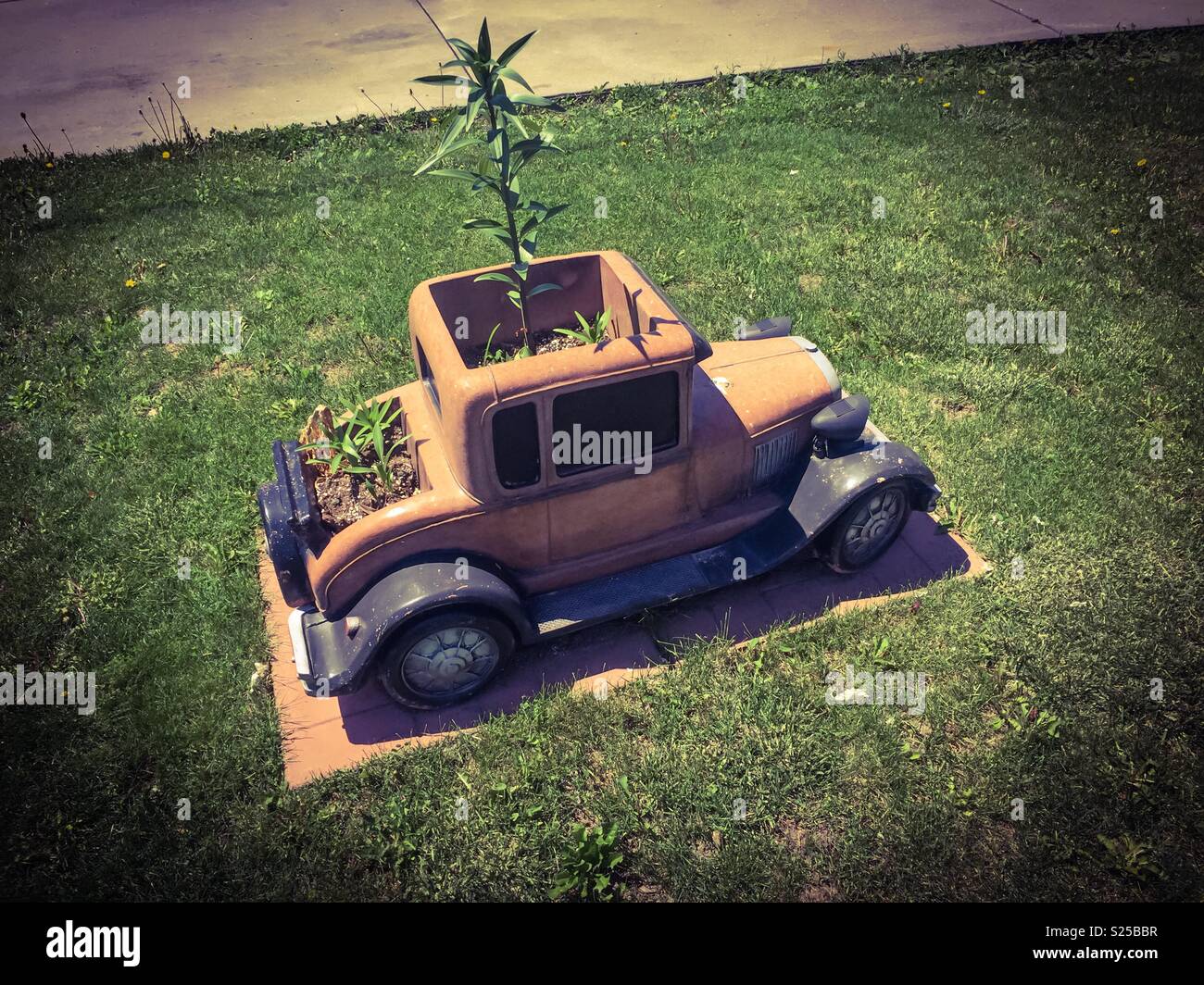 Unusual planter hi-res stock photography and images - Alamy