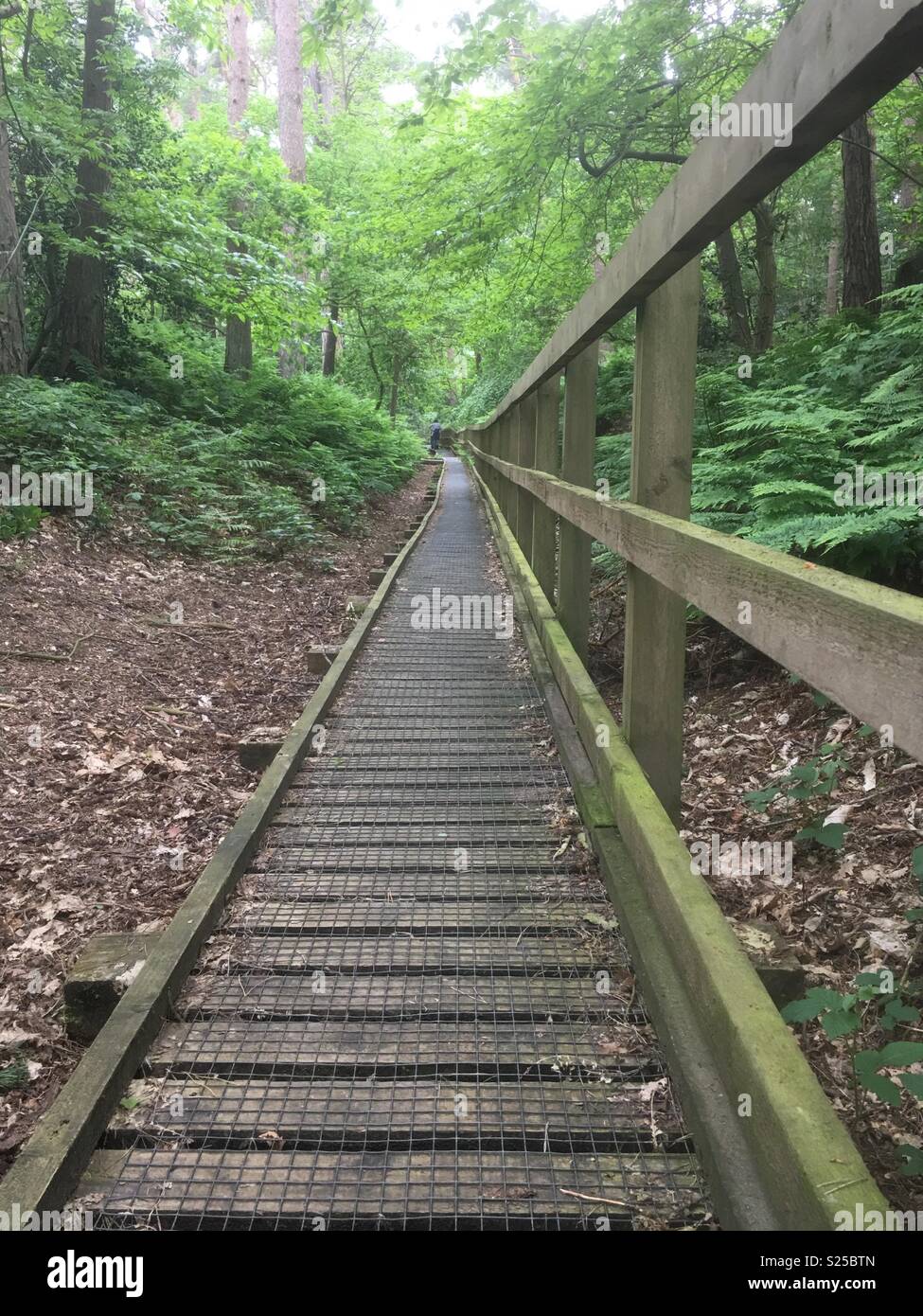 Treading the boards hi-res stock photography and images - Alamy