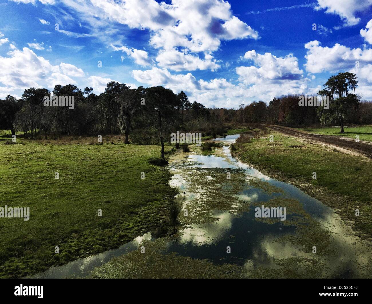 River in Florida USA Stock Photo - Alamy