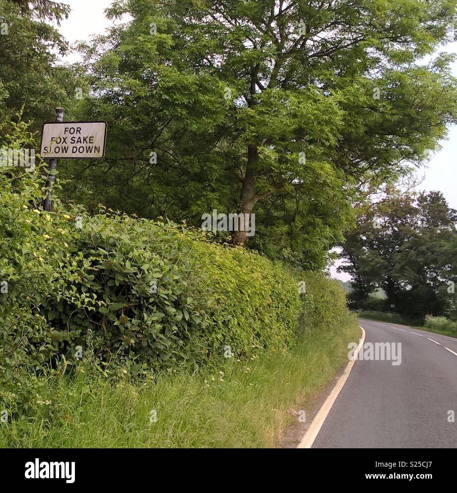 Slow down sign on road hi-res stock photography and images - Alamy