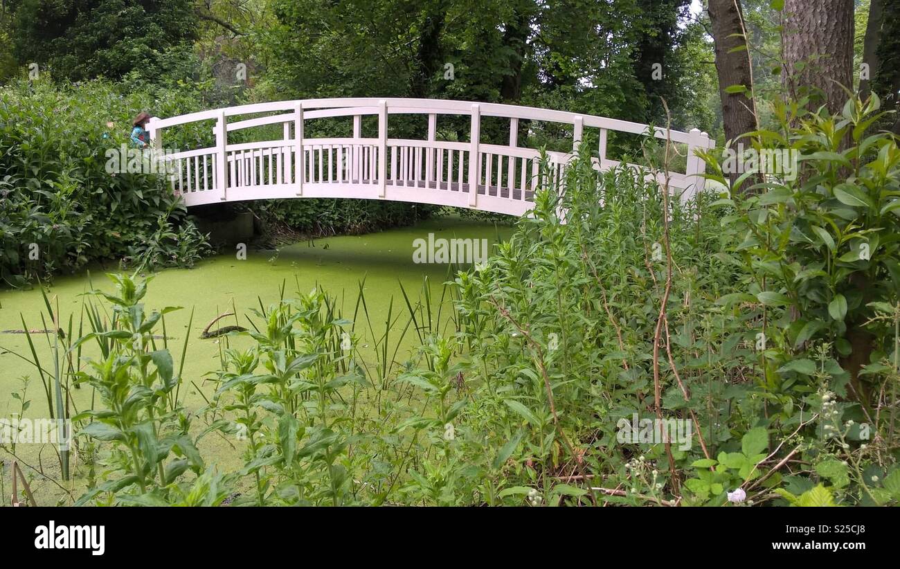 Swamp bridge hi-res stock photography and images - Alamy