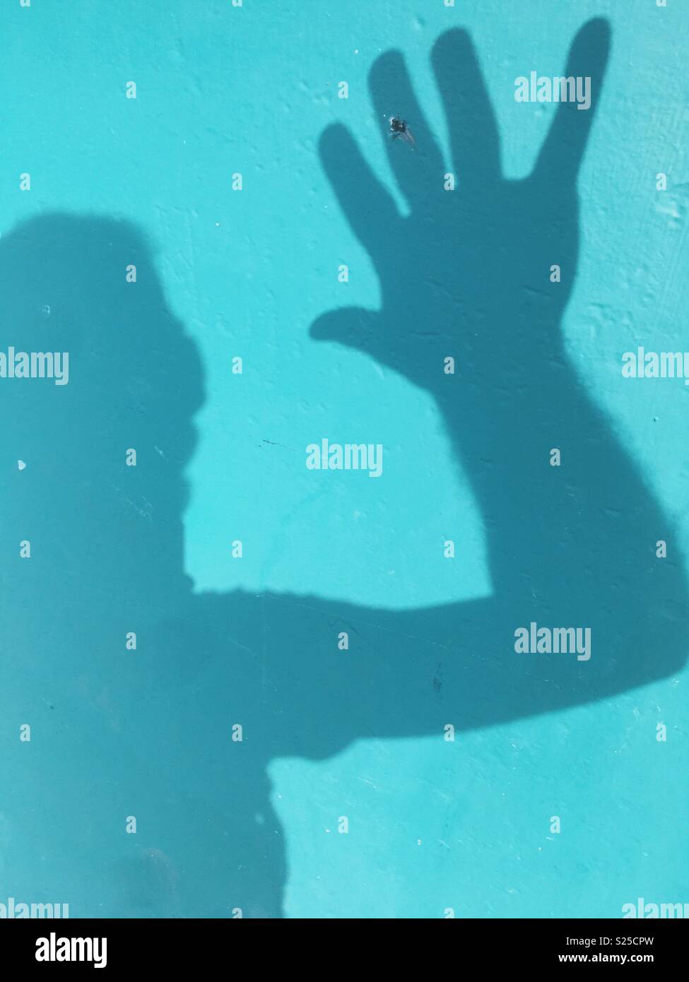 Shadow self portrait Stock Photo - Alamy