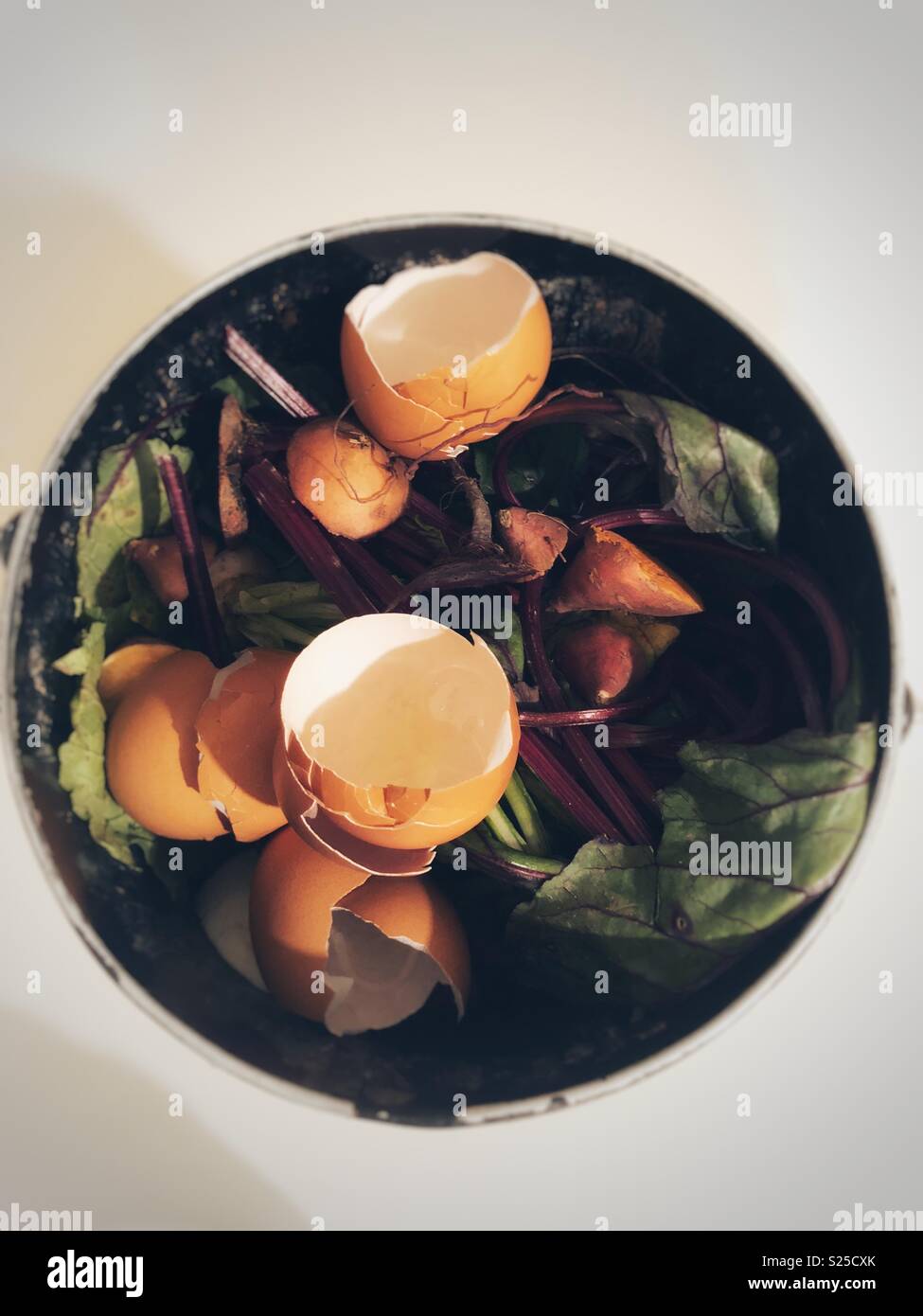 Food scraps for the compost Stock Photo - Alamy