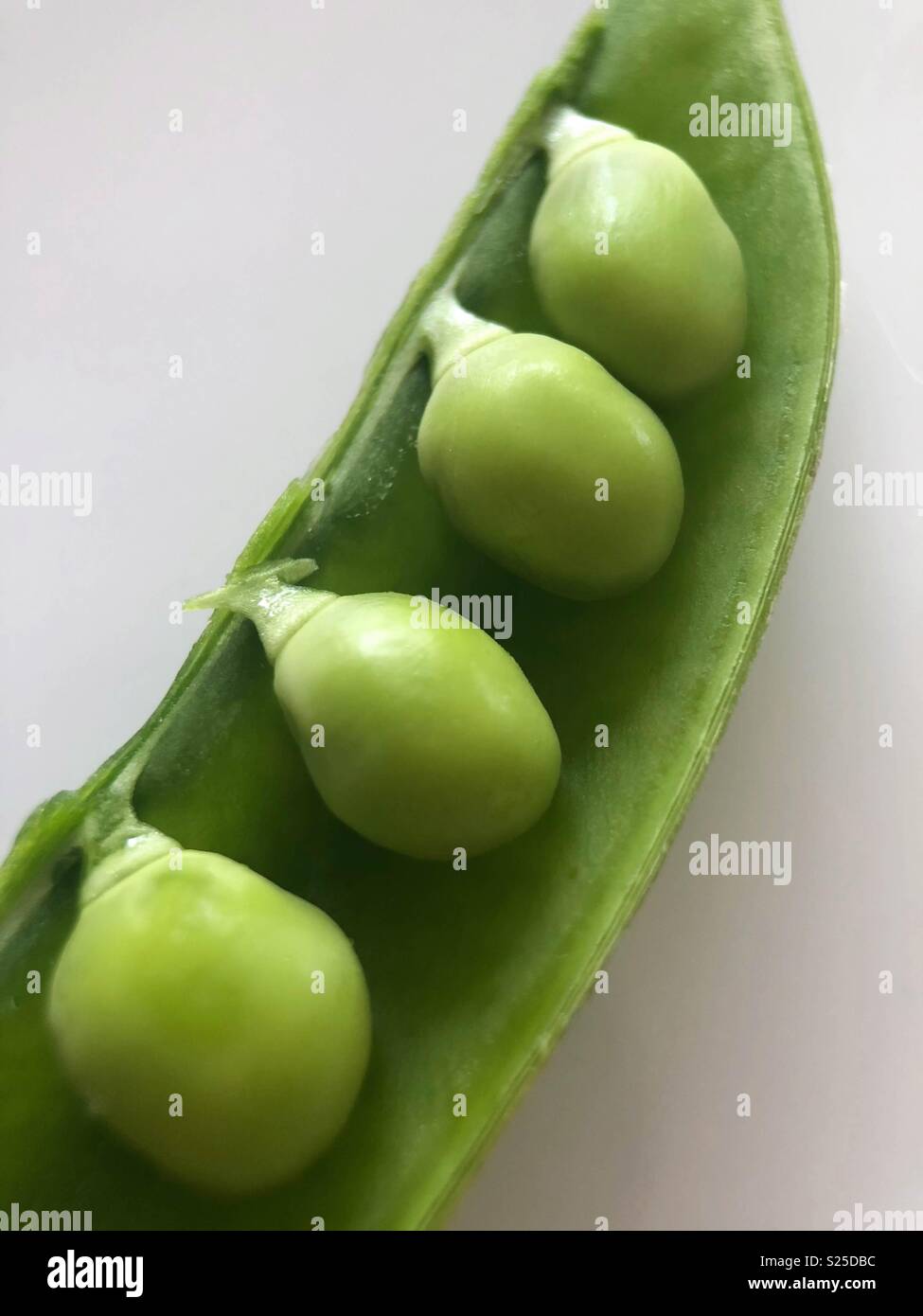 Inside snow pea Stock Photo - Alamy