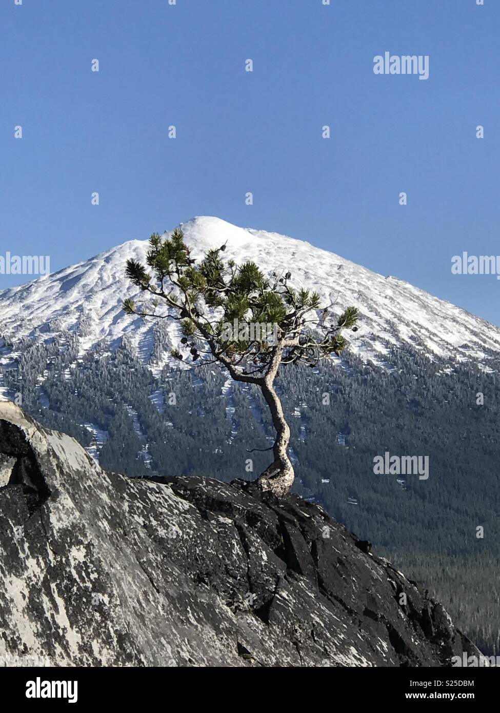 Cascade Mountain Volcanoes High Resolution Stock Photography and Images ...