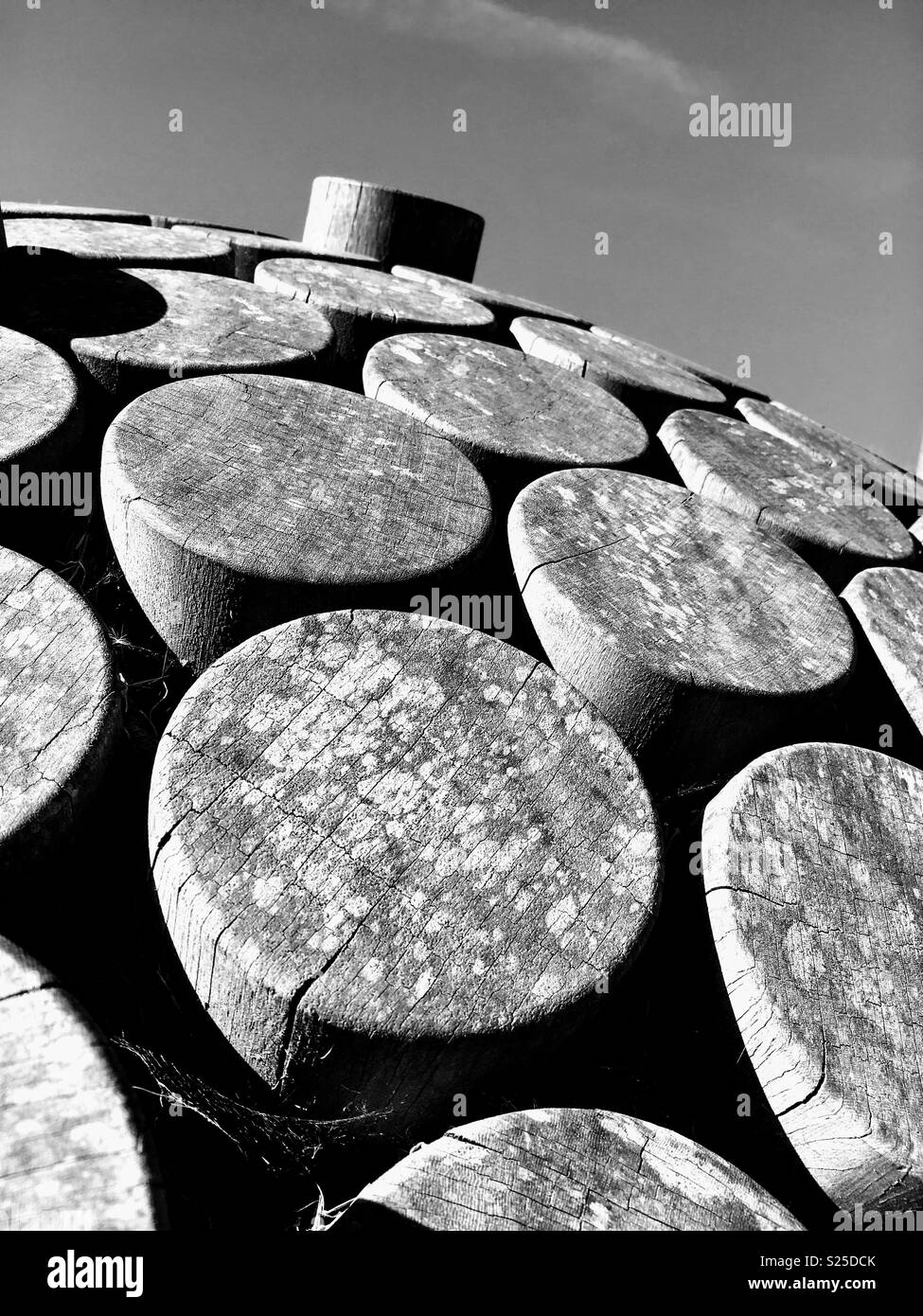 Timber circle Black and White Stock Photos & Images - Alamy