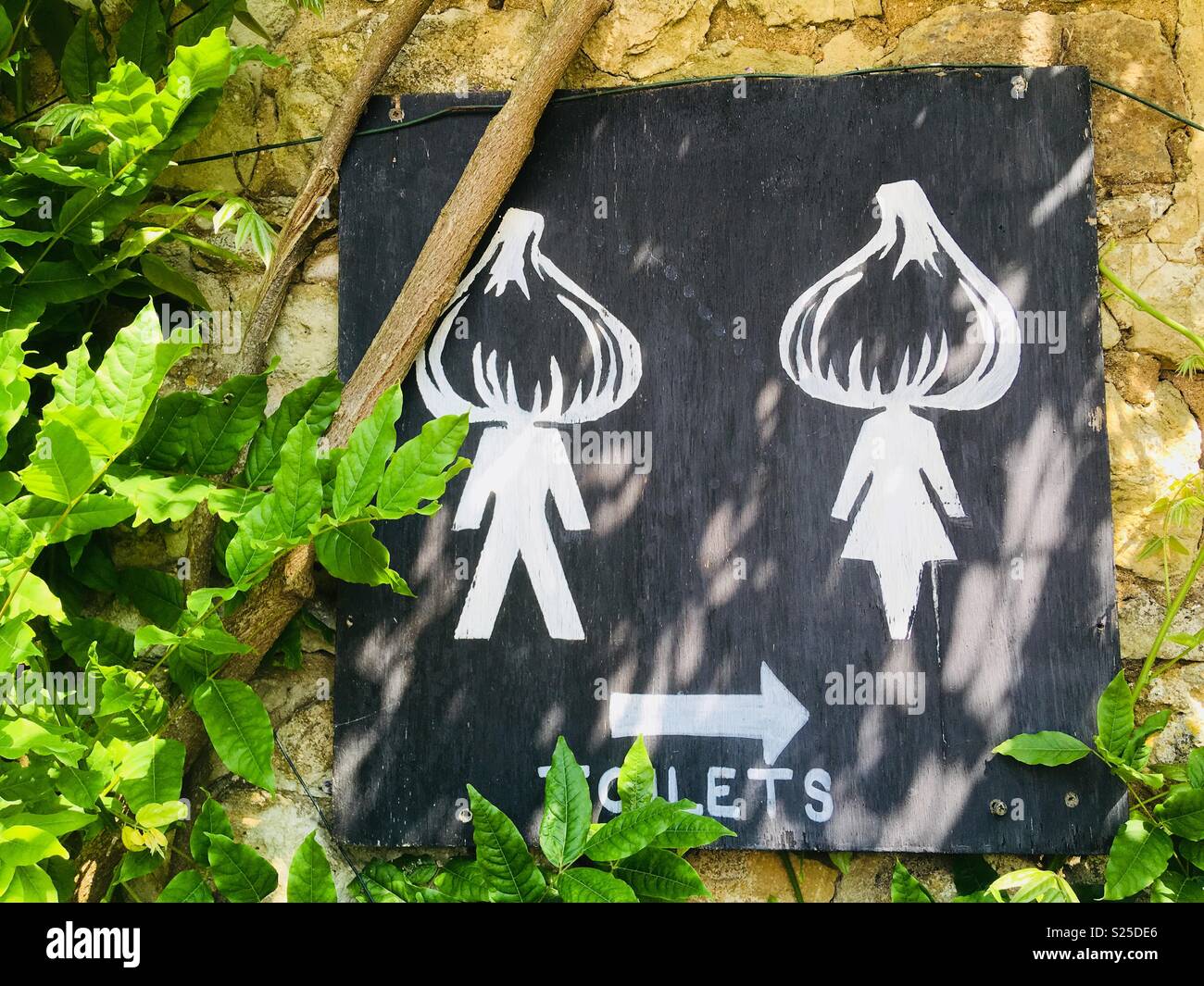 The garlic farm hi-res stock photography and images - Alamy