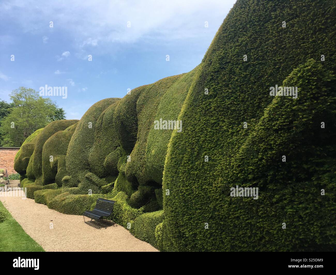 Row of hedges hi-res stock photography and images - Alamy