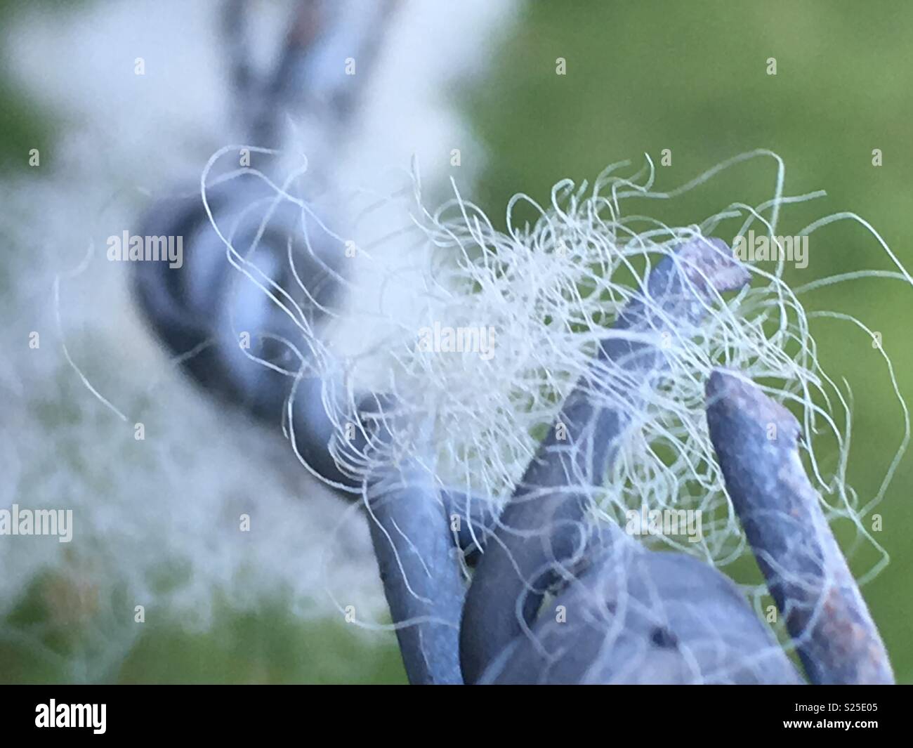 Wire wool hi-res stock photography and images - Alamy