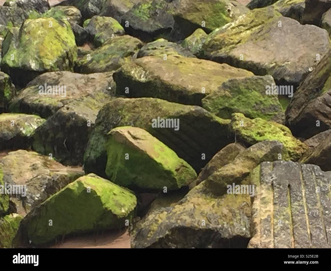 British beach rocks Stock Photo - Alamy