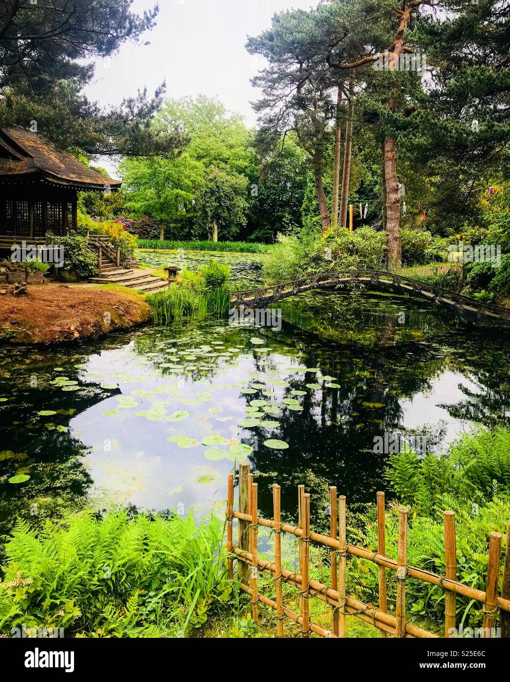 Tatton park japanese garden hi-res stock photography and images - Alamy