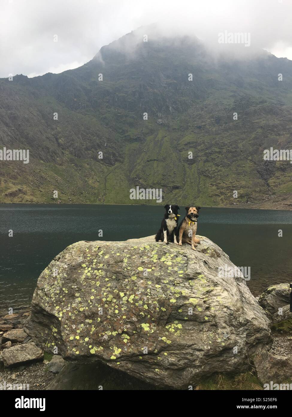 Snowdon hi-res stock photography and images - Alamy