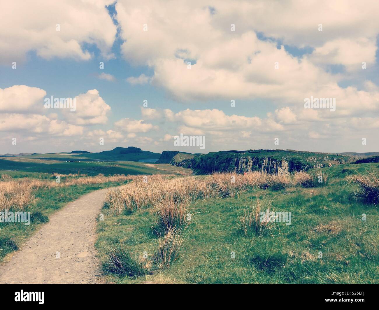 Hadrians wall national trust hi-res stock photography and images - Alamy