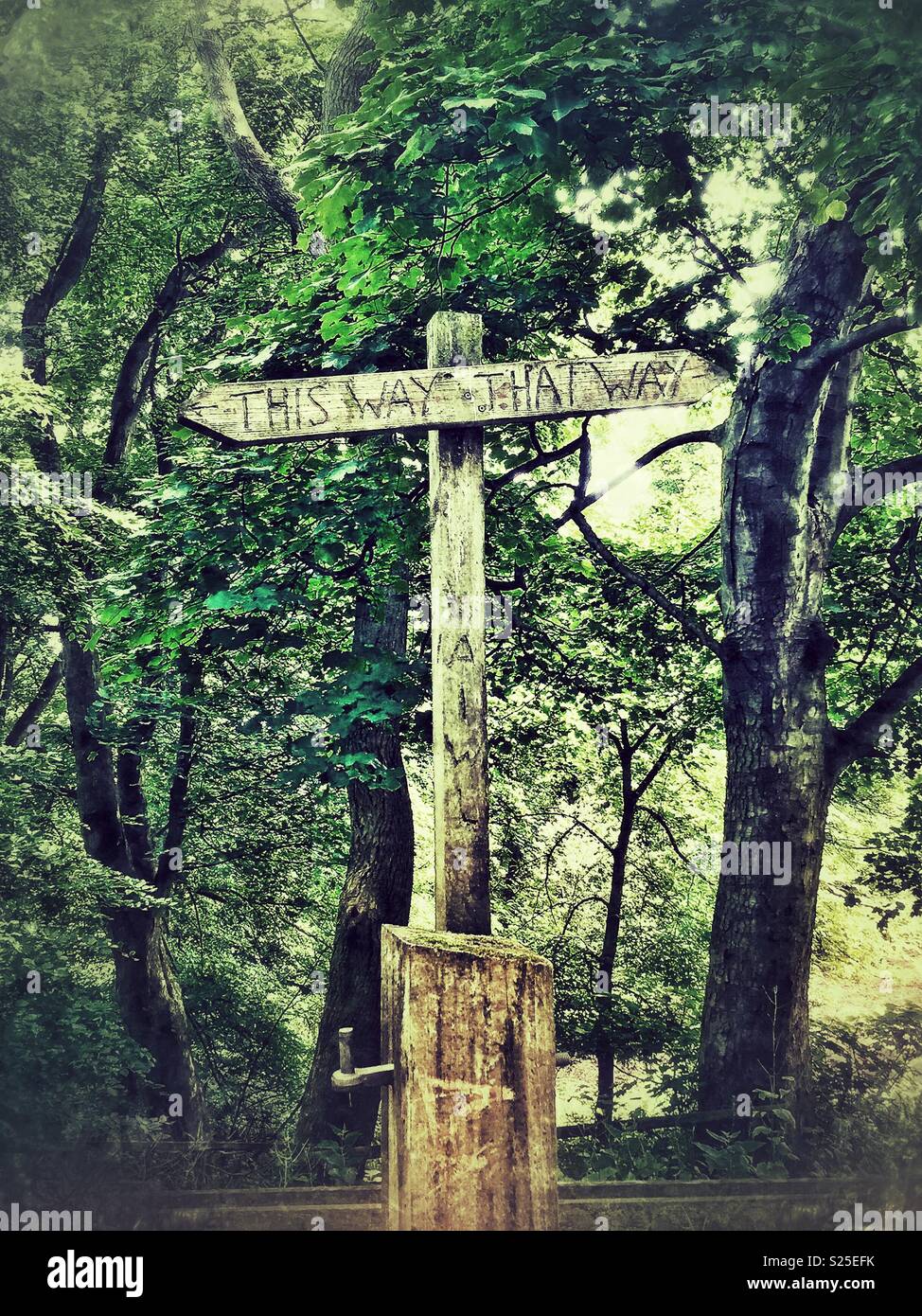 Woodland direction sign - This way, That way Stock Photo - Alamy