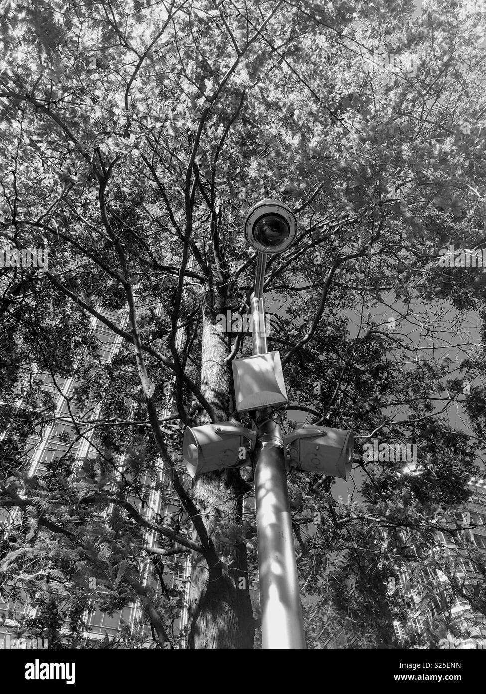 Monitoring in real time hi-res stock photography and images - Alamy