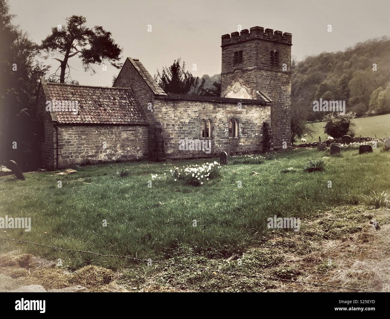 Levisham north yorkshire hi-res stock photography and images - Alamy