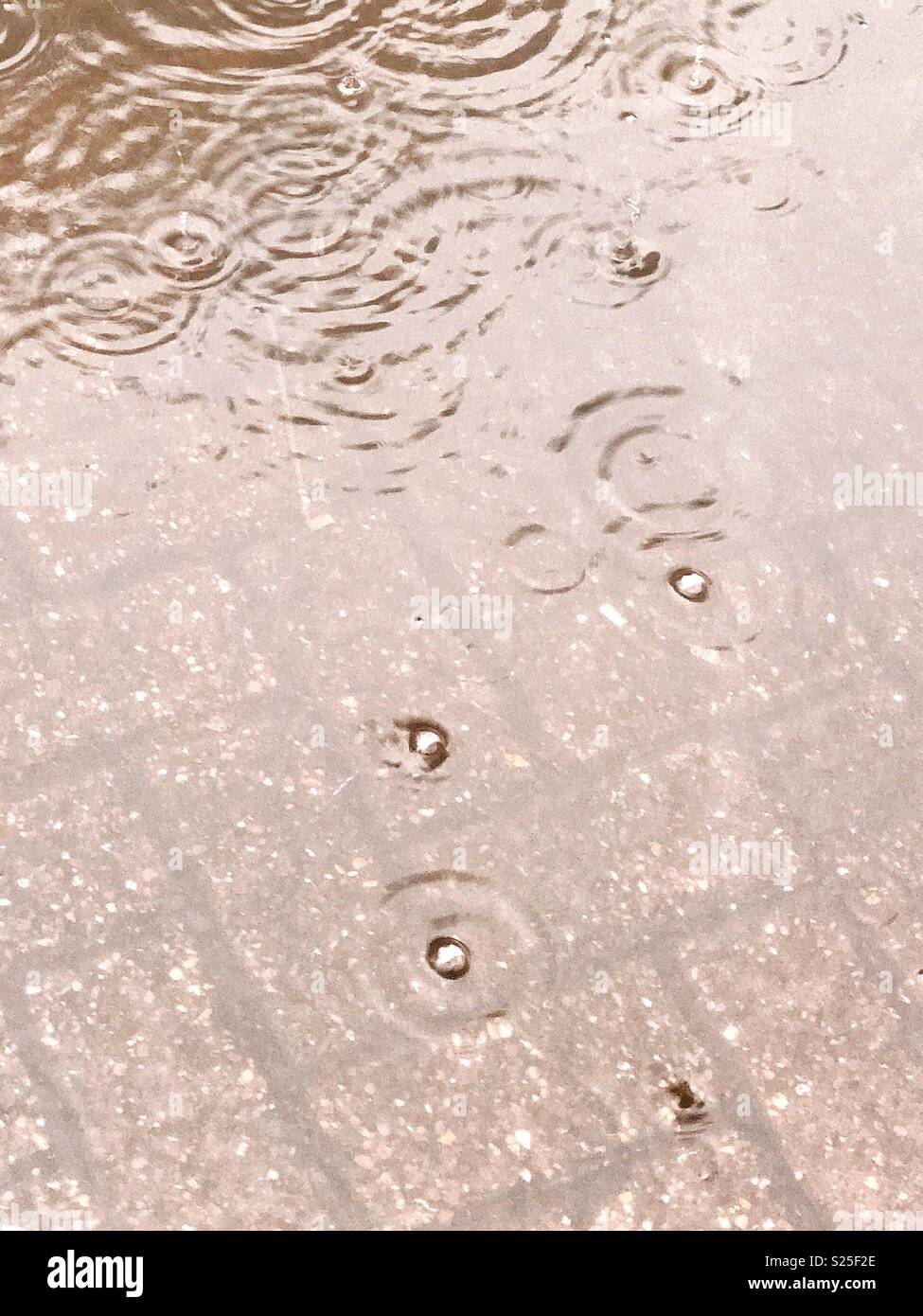 Raindrops in puddles Stock Photo - Alamy
