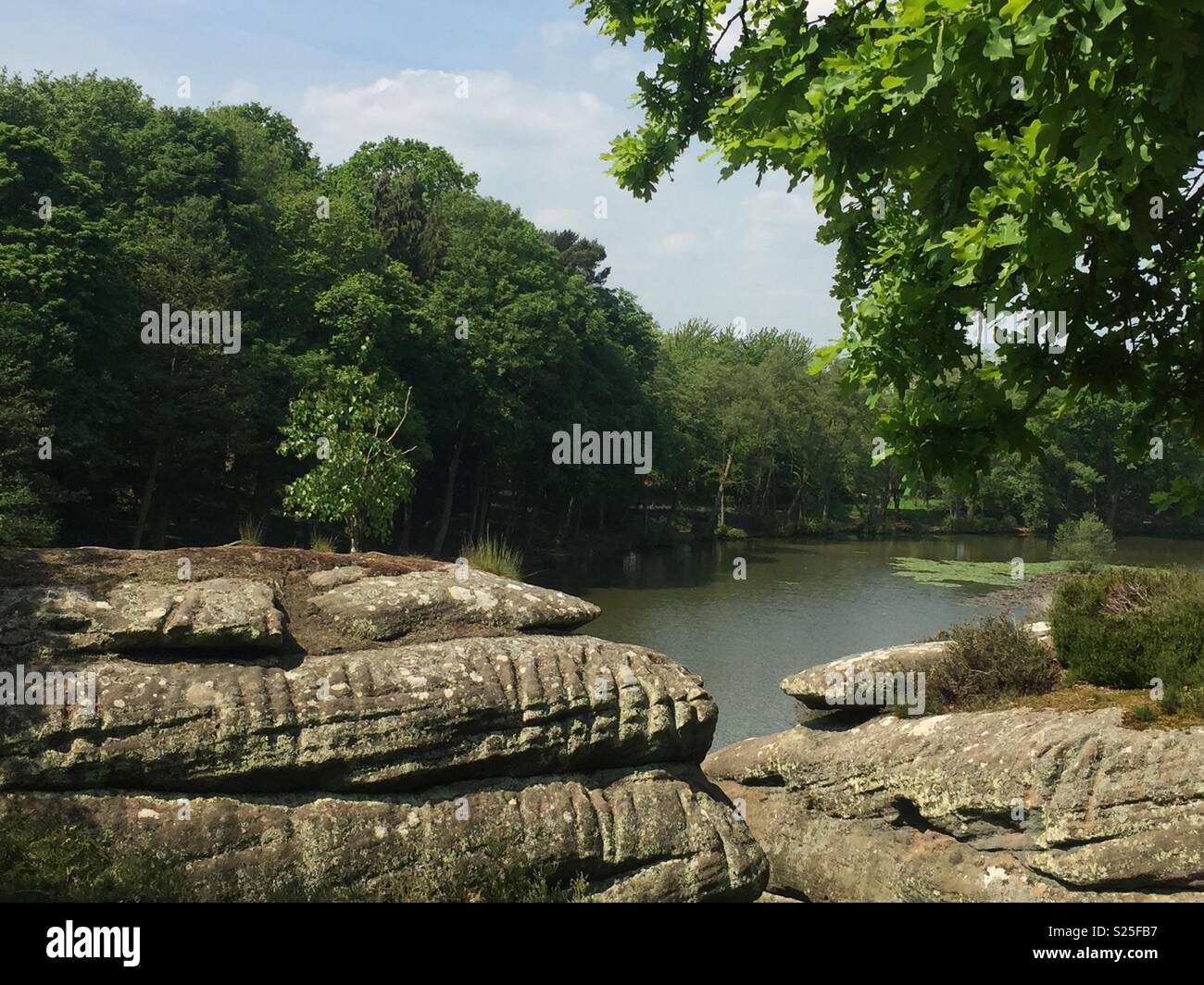 Lakeside view hi-res stock photography and images - Alamy