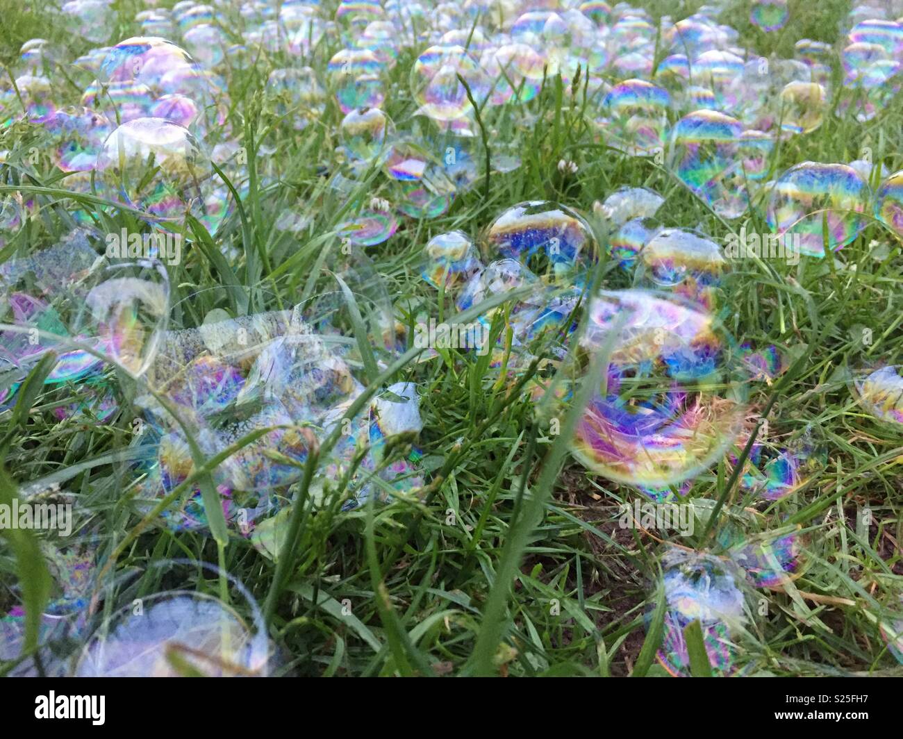 Bubbles field hi-res stock photography and images - Alamy