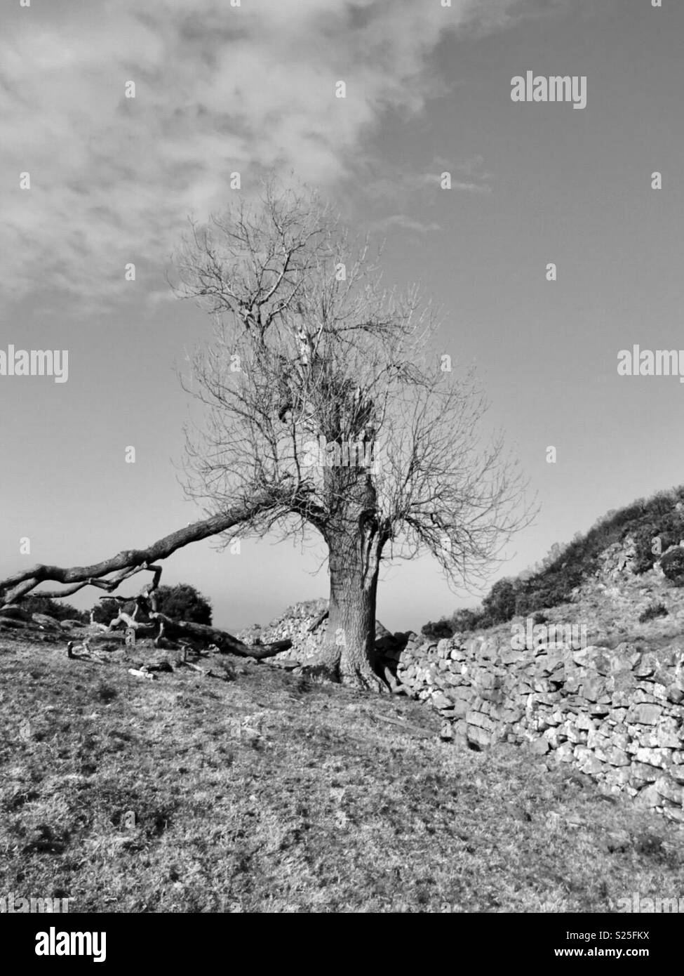 Hill of the dead Black and White Stock Photos & Images - Alamy