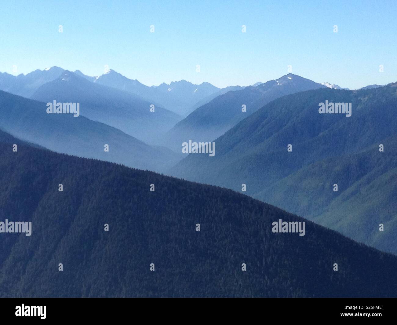 Hurricane ridge washington hi-res stock photography and images - Alamy
