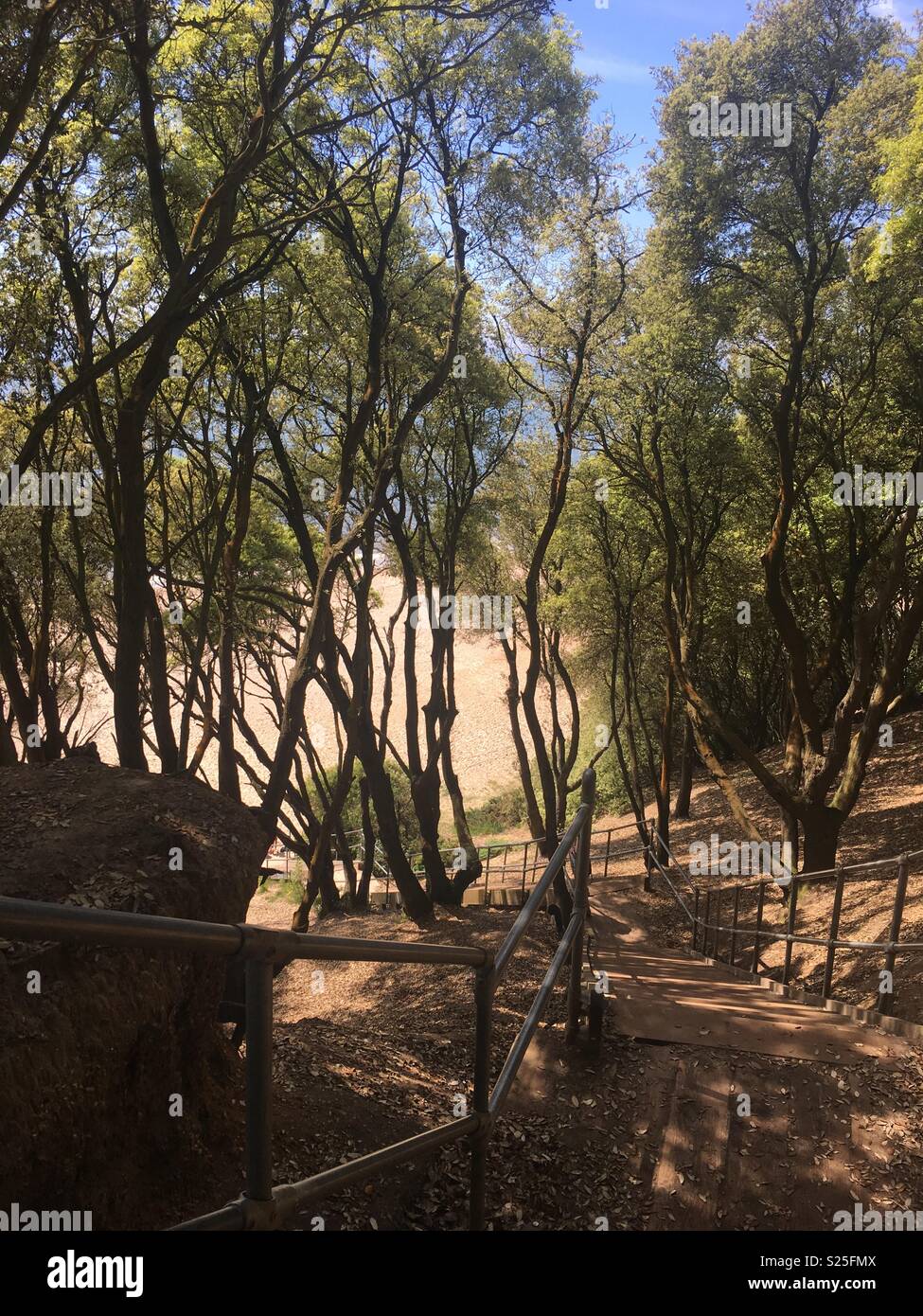 Highcliffe castle beach hi-res stock photography and images - Alamy