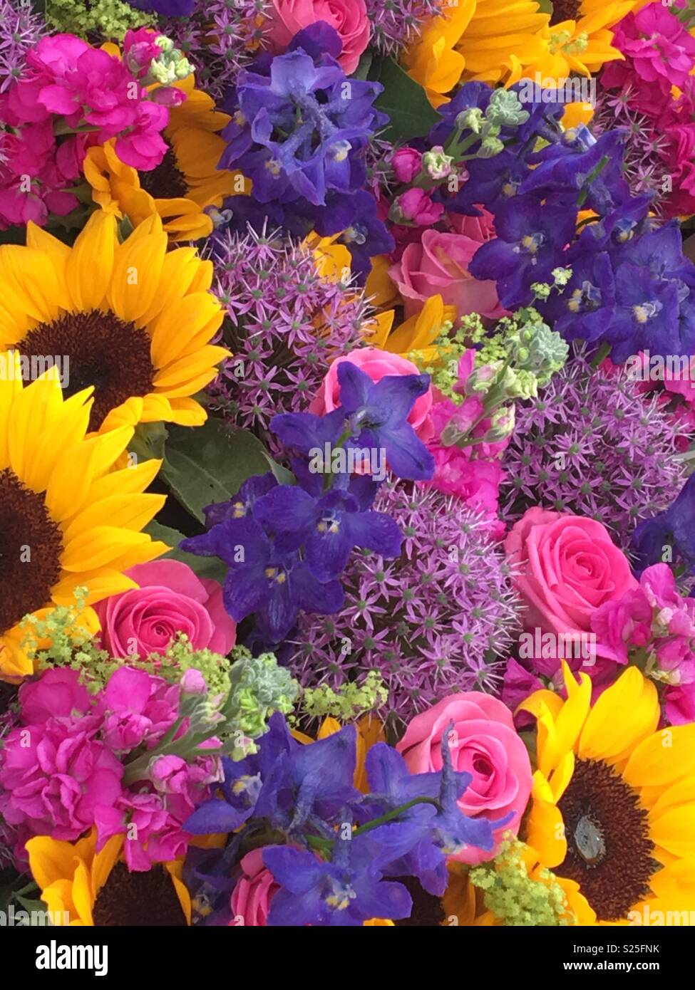 Summer flowers at Chelsea flower show Stock Photo - Alamy