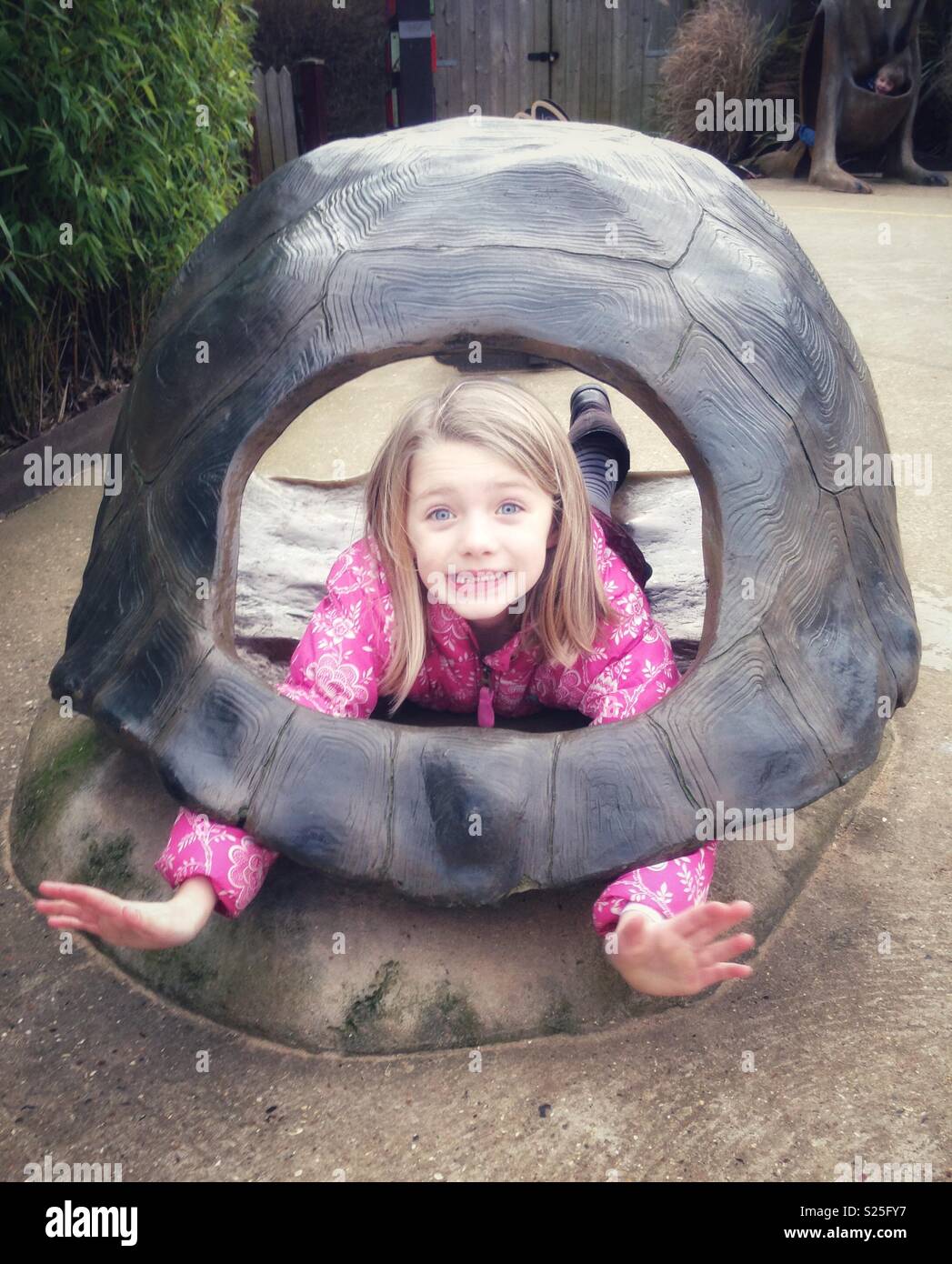Girl inside a giant tortoise shell Stock Photo - Alamy