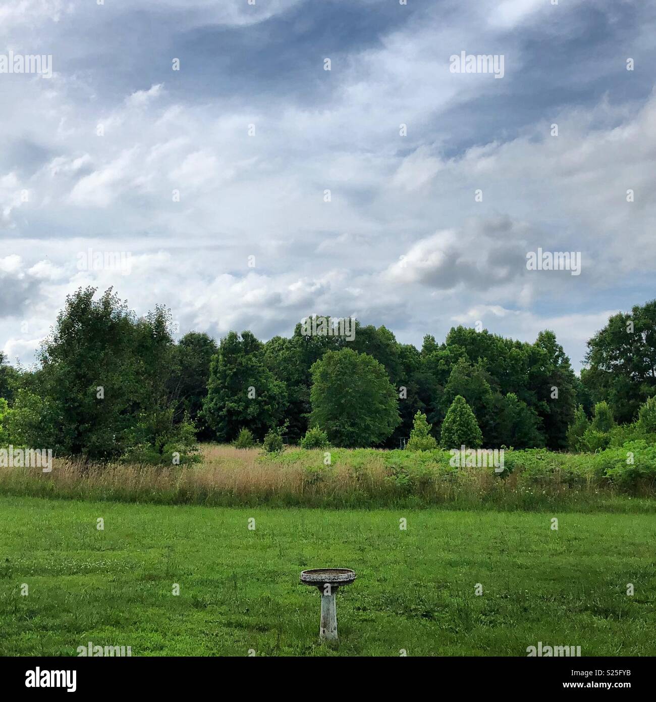 Green grass and trees hi-res stock photography and images - Alamy