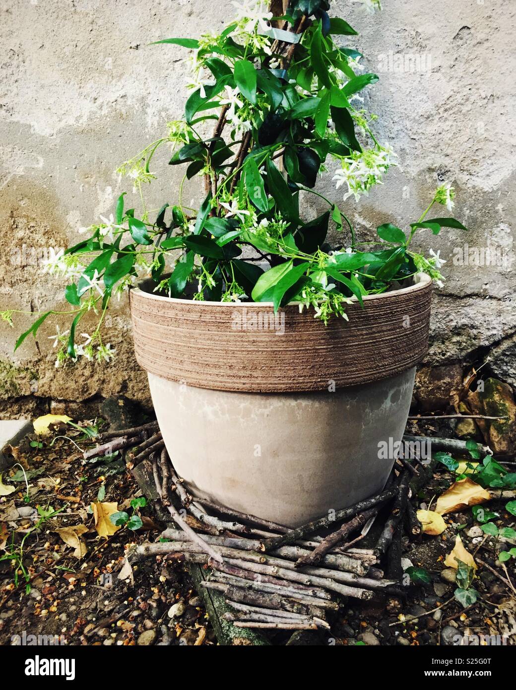 Smell the countryside hi-res stock photography and images - Alamy