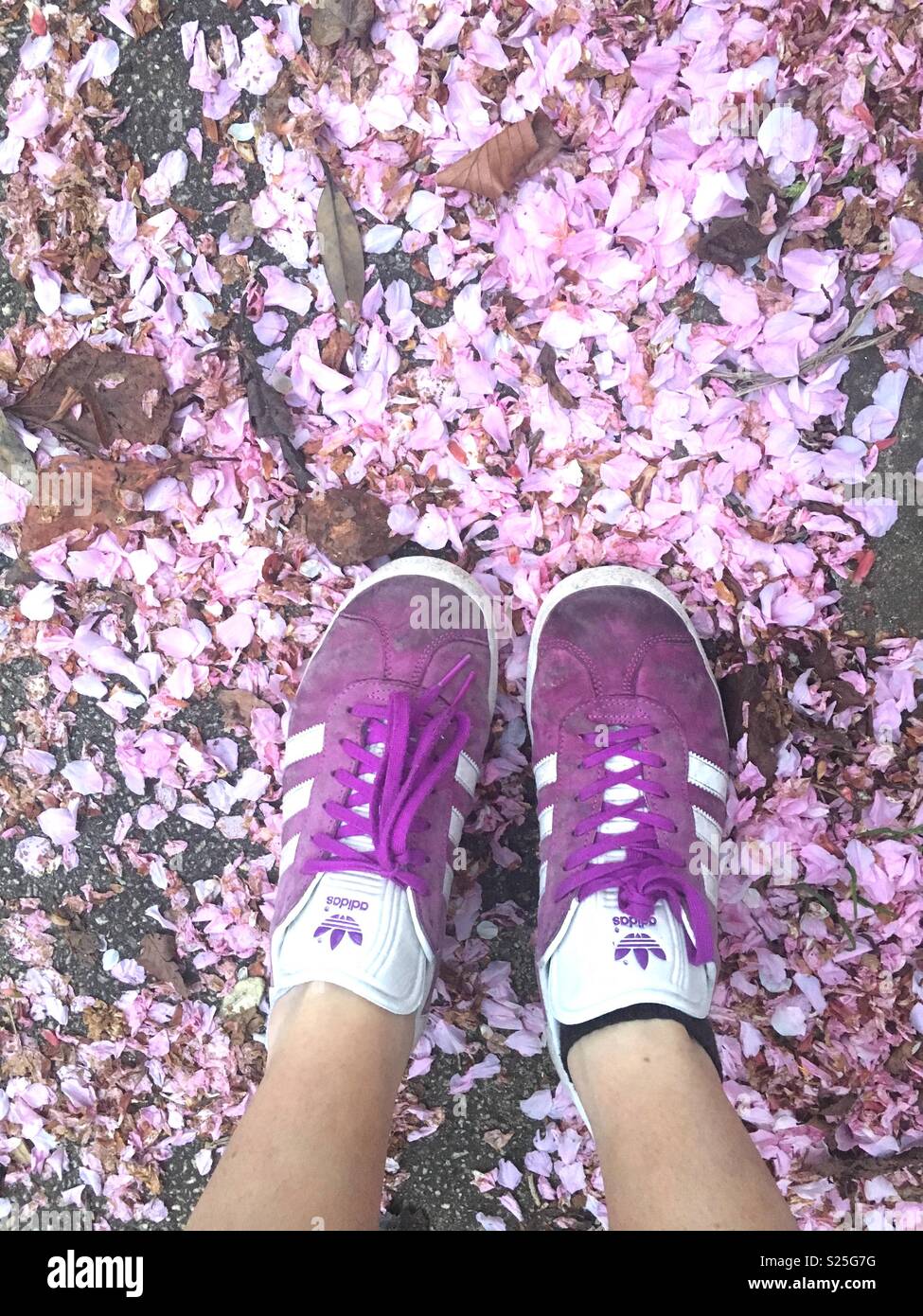 Spring shoes hi-res stock photography and images - Alamy