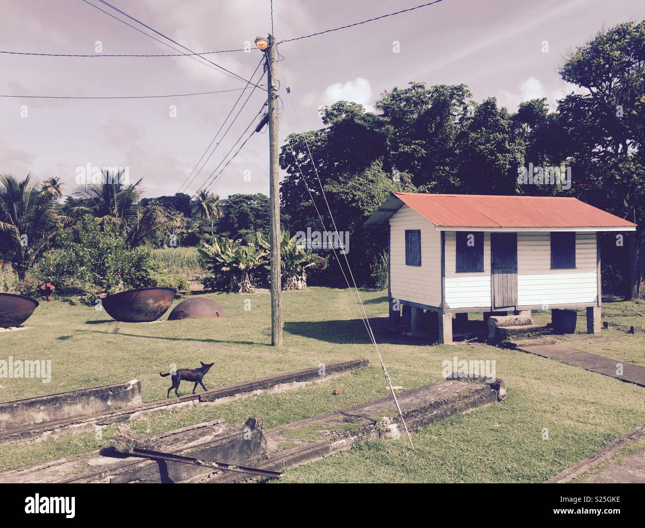 Plantation rum hi-res stock photography and images - Alamy