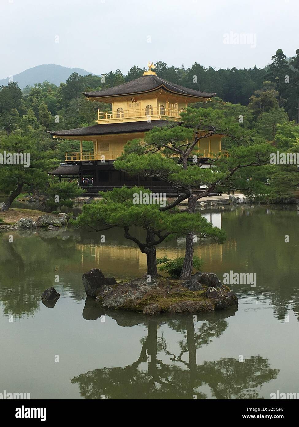 Golden pagoda, japan hi-res stock photography and images - Alamy