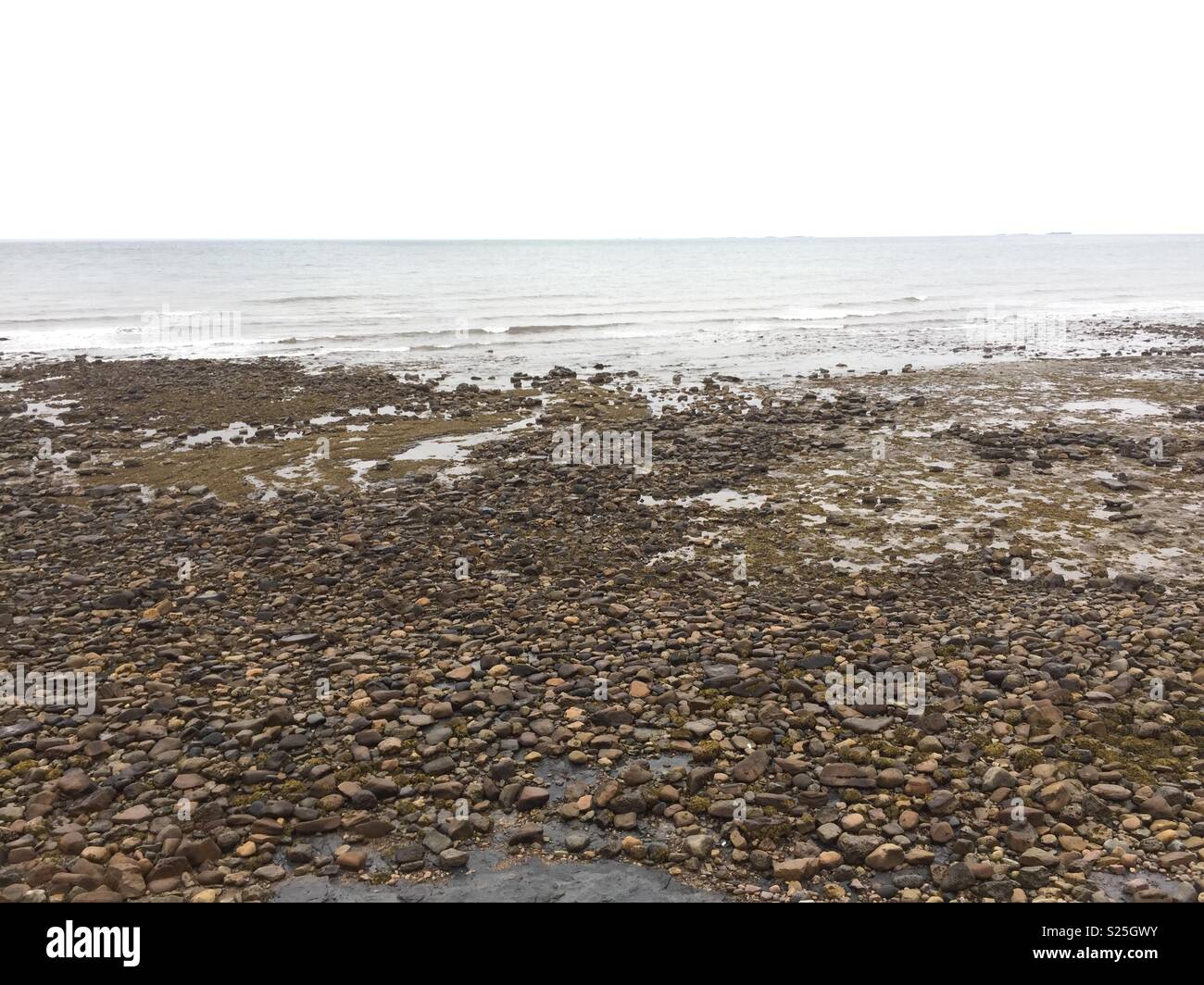 Stone covered sea shore Stock Photo - Alamy