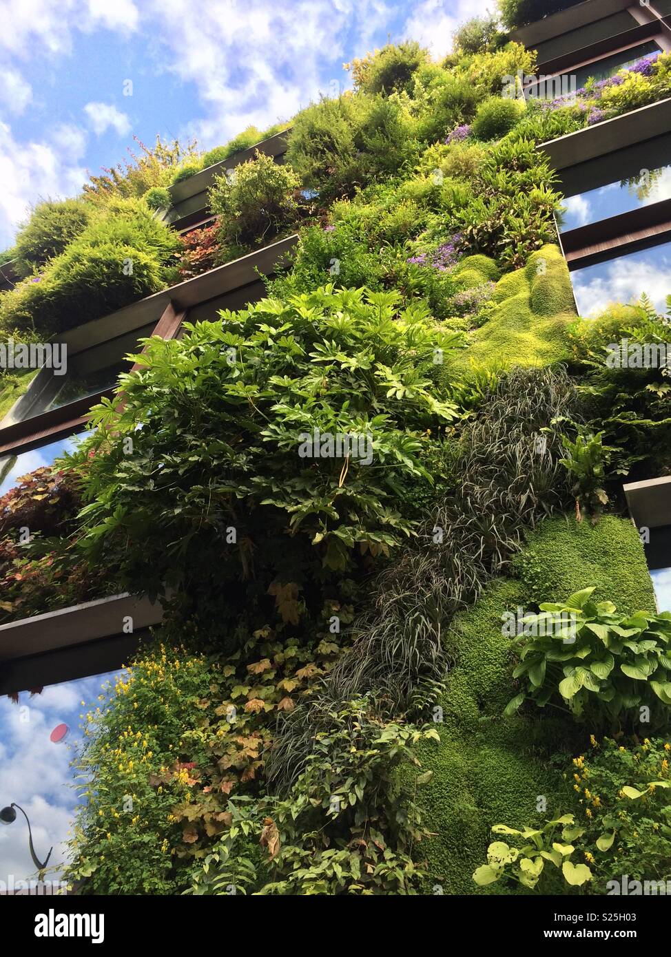 Green architecture hi-res stock photography and images - Alamy