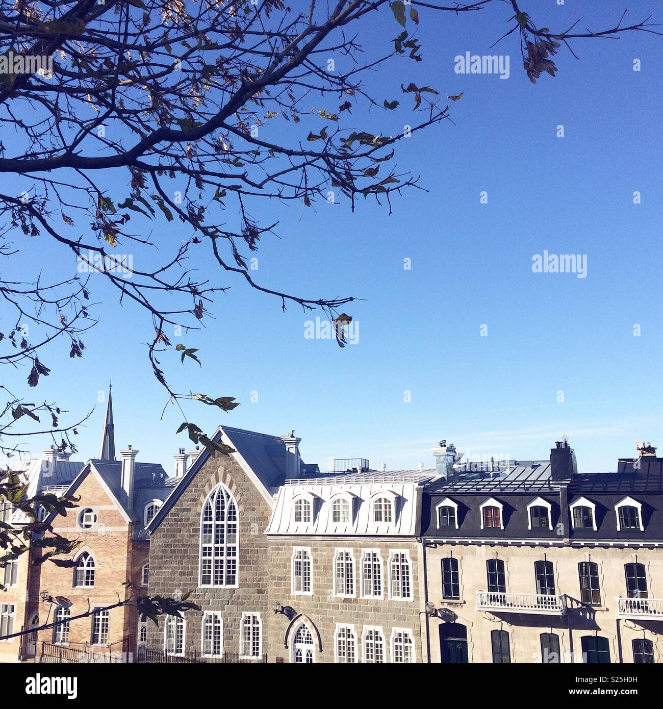 Quebec City buildings in the fall Stock Photo - Alamy