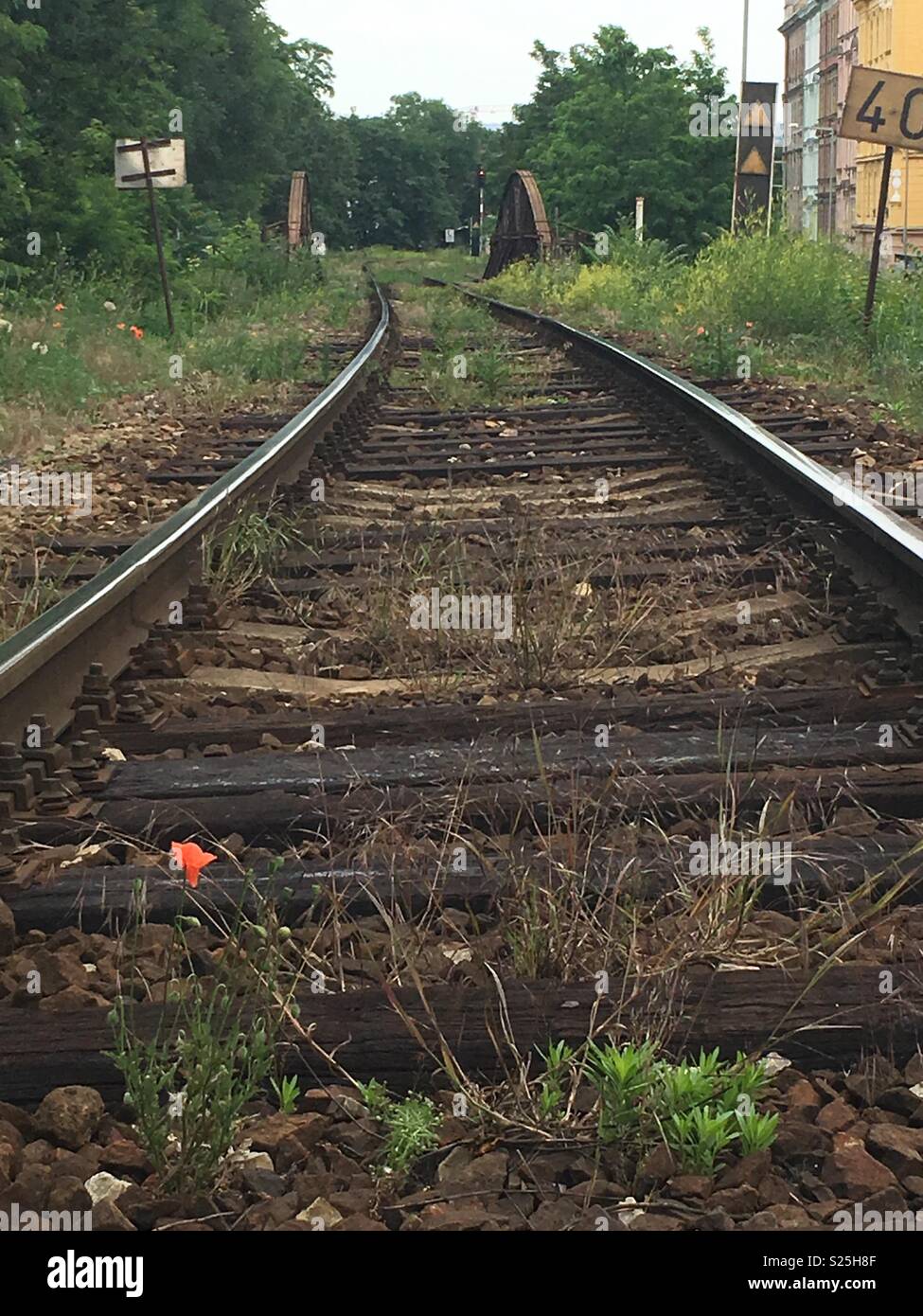 Rustic railway tracks Stock Photo - Alamy