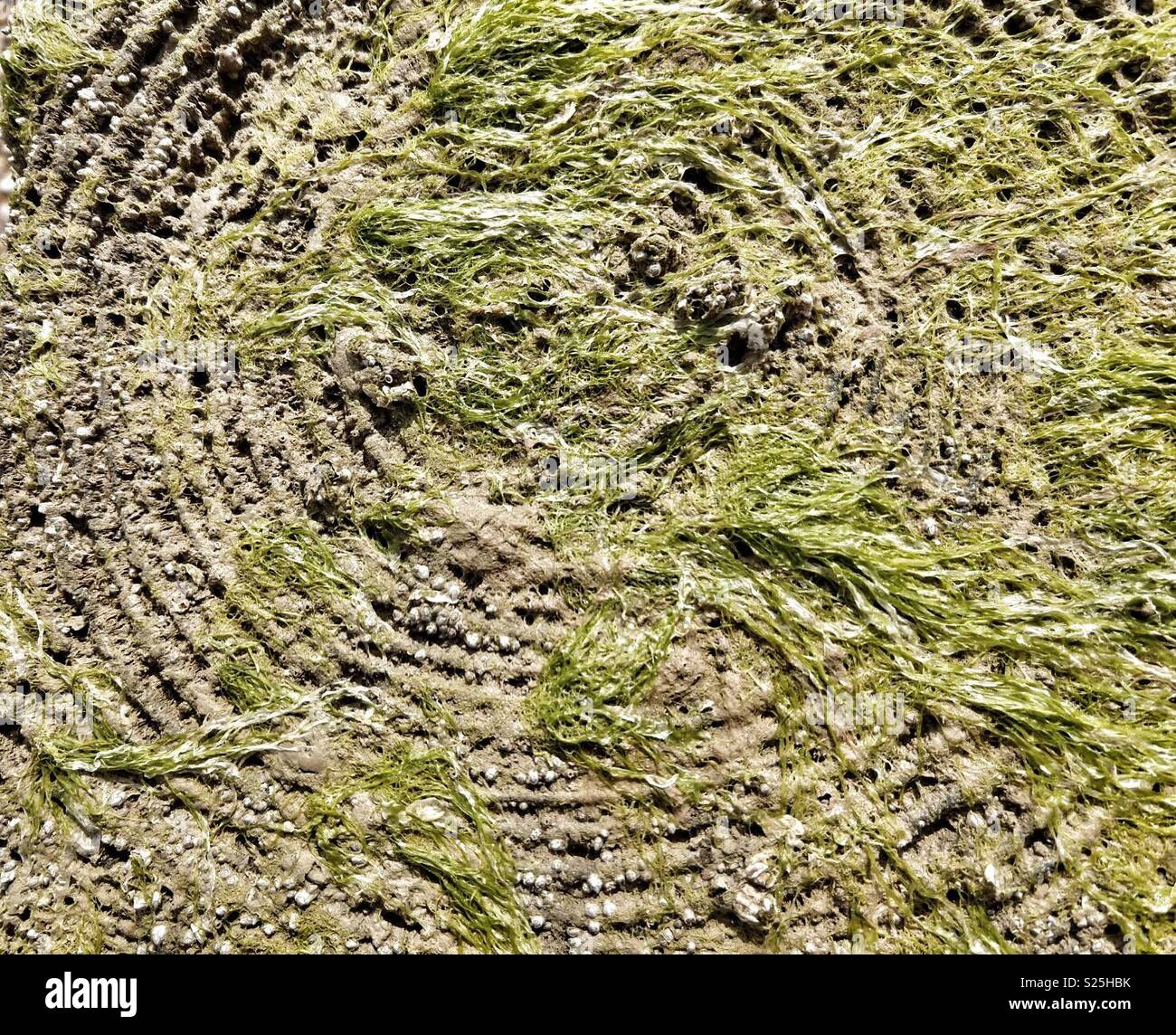 Fairy circle aerial hi-res stock photography and images - Alamy