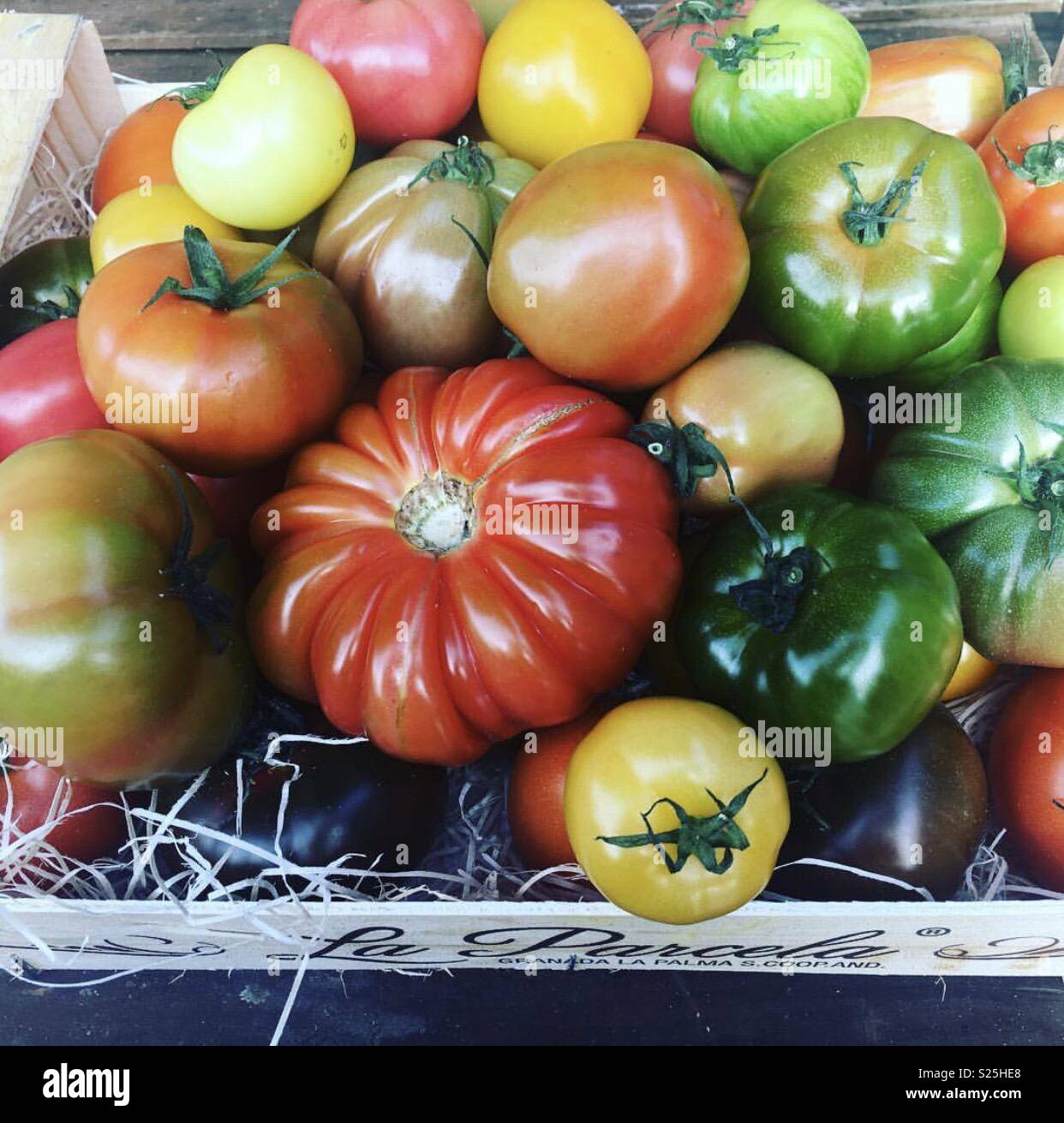 Heritage tomatoes hi-res stock photography and images - Alamy