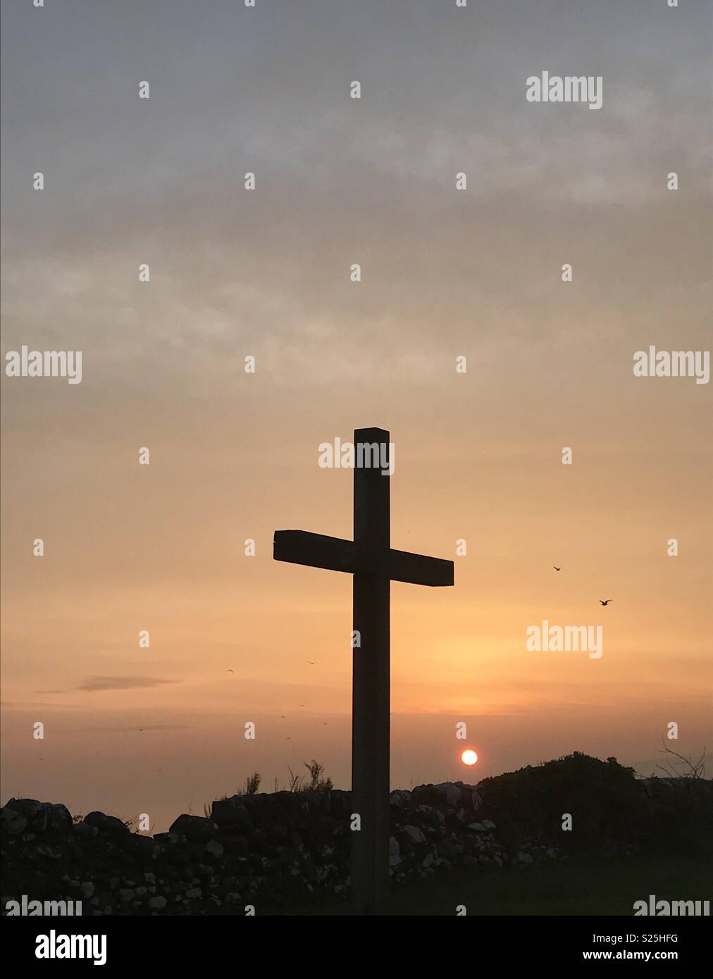 Cross birds hi-res stock photography and images - Alamy