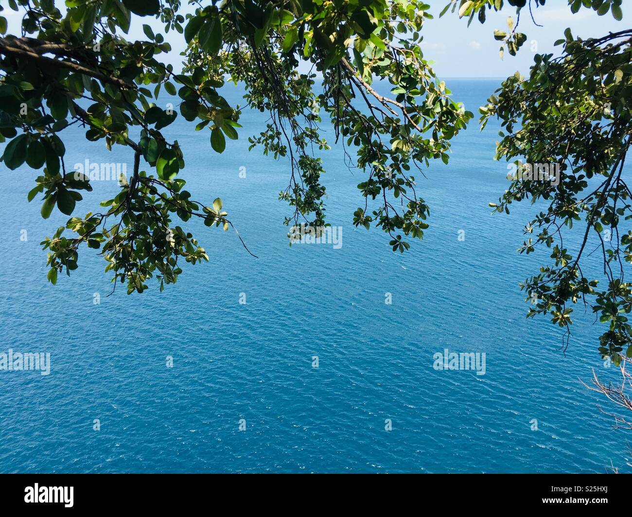 Trinco hi-res stock photography and images - Alamy