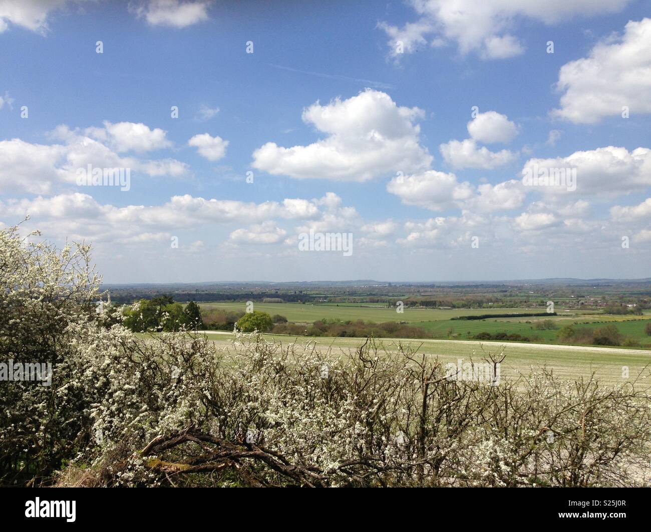 Countryside hedgerow hi-res stock photography and images - Alamy