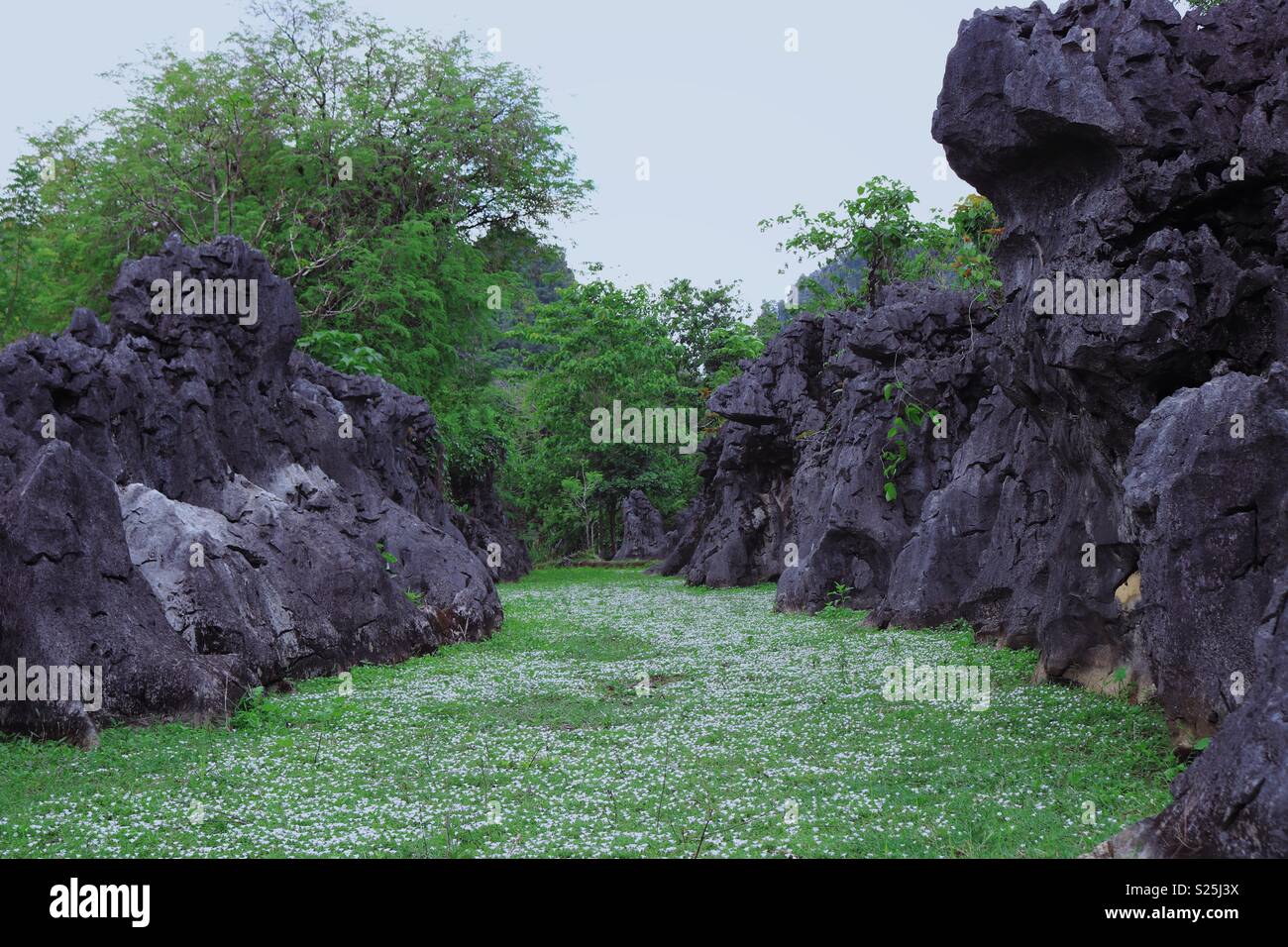 Kars stone with green grass Stock Photo - Alamy