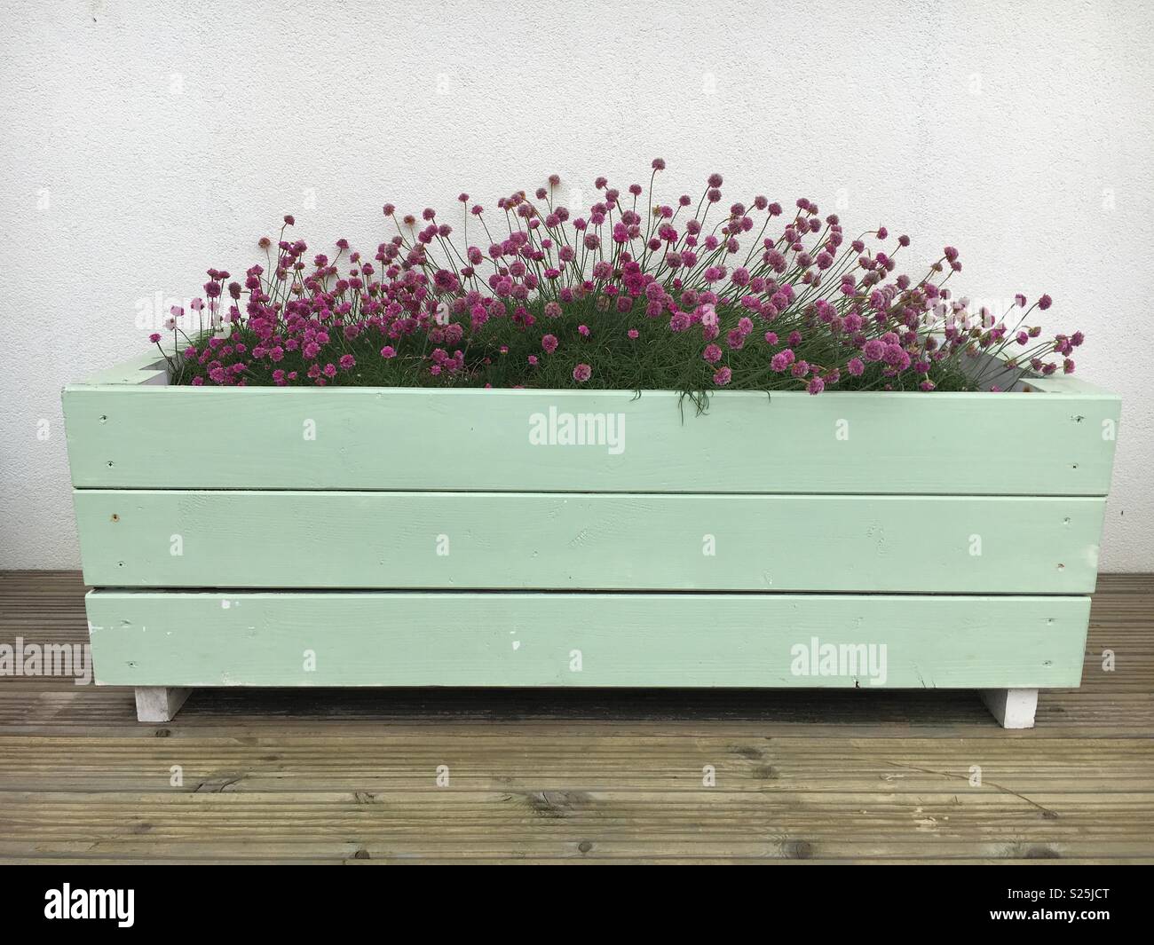 Wooden flower box Stock Photo - Alamy